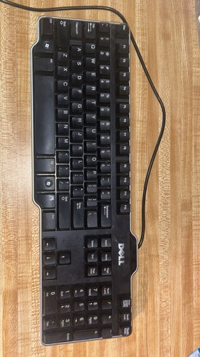 Dell USB Wired Keyboard-BLACK for DESKTOP PC ( Model L100 ) TESTED GOOD ...