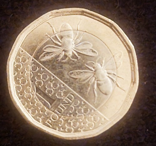 Rare Defect £1 Coin. Error On Legs Of Bee | eBay UK