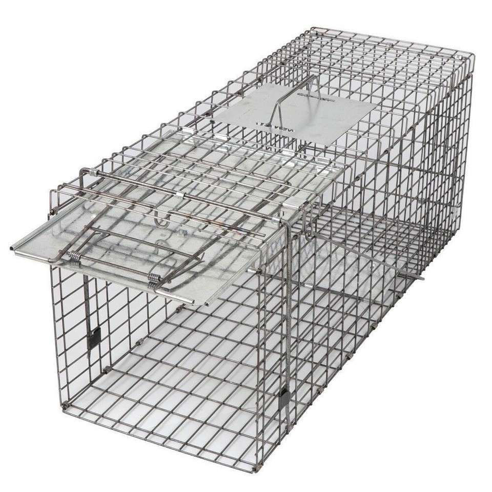 Large Animal Trap Spring Loaded 32x12x13" Easy to Bait & Release Fram ...