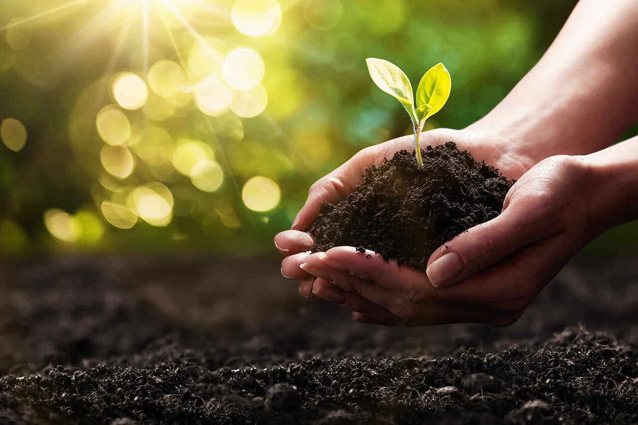 Carbonized Rice Hulls 101: Preparation and Benefits Explained - South ...