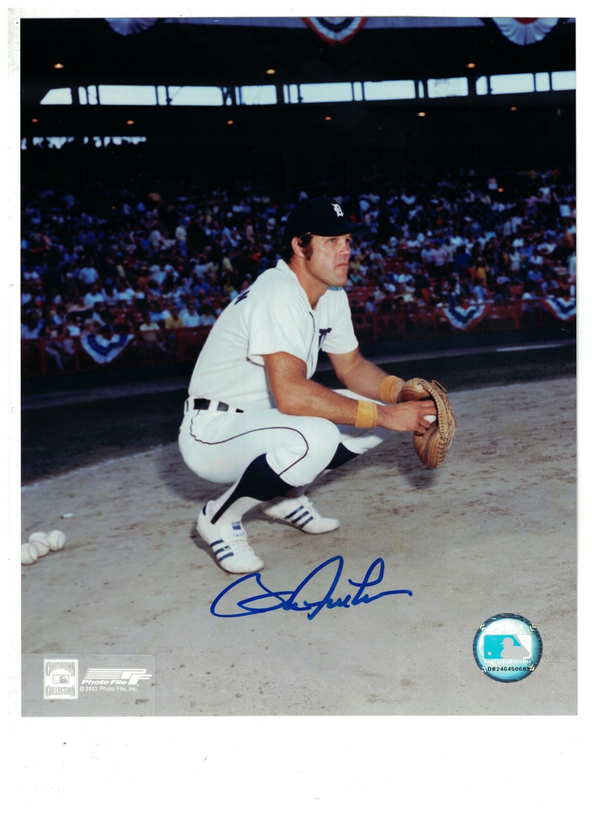Bill Freehan AUTOGRAPHED DETROIT TIGERS 8X10 PHOTO SIGNED | eBay