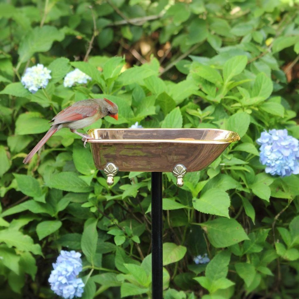 Good Directions Bird Bath Splish-Splash Polished Copper 704940007586| eBay