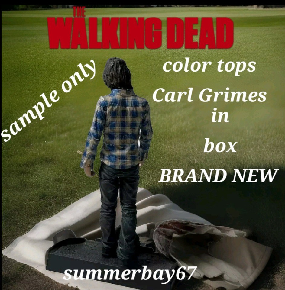 The Walking Dead Color Tops AMC The Carl Grimes Action Figure #15 ...