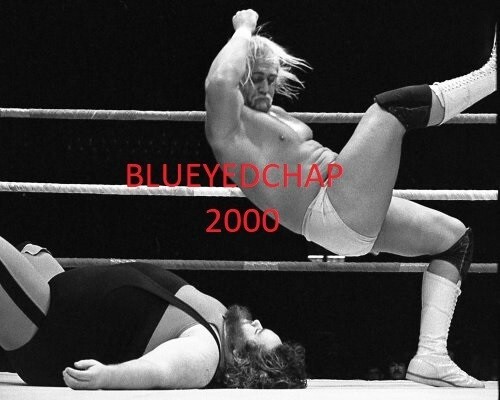 HULK HOGAN VS JERRY BLACKWELL WRESTLER 8 X 10 WRESTLING PHOTO NWA AWA ...