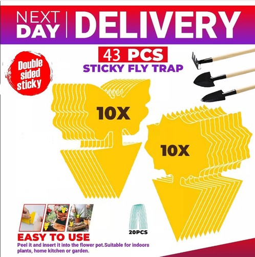 43PCS Fruit Fly Traps Insects Bugs Catcher Sticky Waterproof Fungus ...