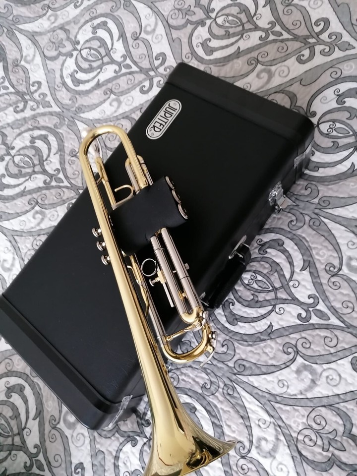 jupiter trumpet 600 M | eBay