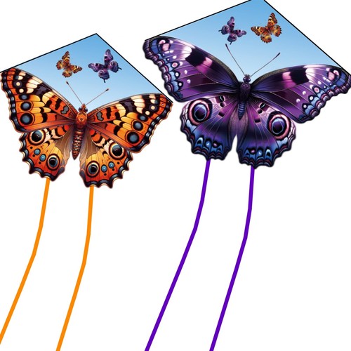 2 pcs Butterfly Kites with Kite String for Adults and Kids Perfect for ...