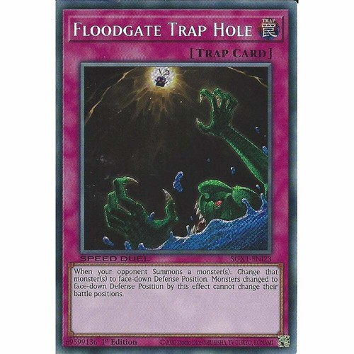 Floodgate Trap Hole SGX1-ENI23 1st Edition Secret Rare : YuGiOh Card ...