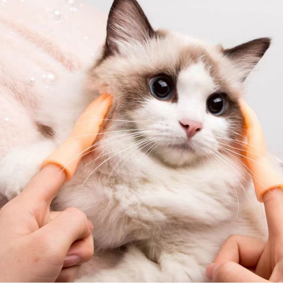 Tiny Hands Finger Finger Puppet Finger Hands Miniature Small Hands Toy ...