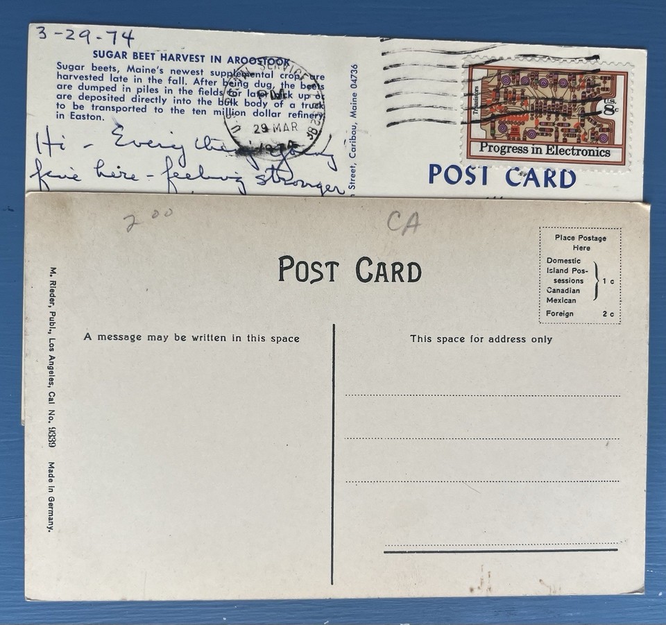 Sugar Beet Postcards (2) ~ Field and Harvest - Agricultural | eBay