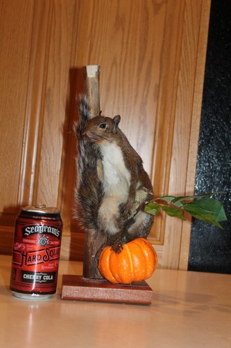 New Taxidermy Squirrel Chipmunk Mount Novelty Whitetail Deer Log Cabin ...