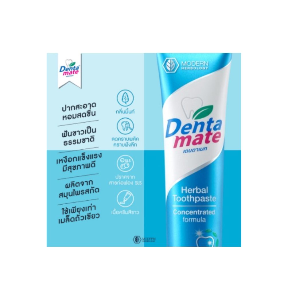 3 x Dentamate Fresh Mint Herbal Extract Toothpaste Reduce plaque and ...