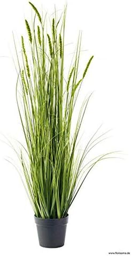 Hochwertiges Dekogras Im Topf - Wunderschön & Naturgetreu - Gras ...