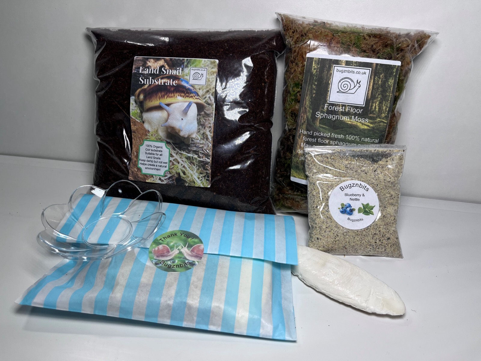 3L Giant African Land snail Starter Kit, Garden Snail, Complete Low ...