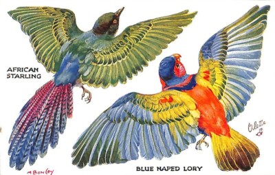 M. Bowley Raphael Tuck #3775 "Birds On The Wing" Series II Cut-Outs ...