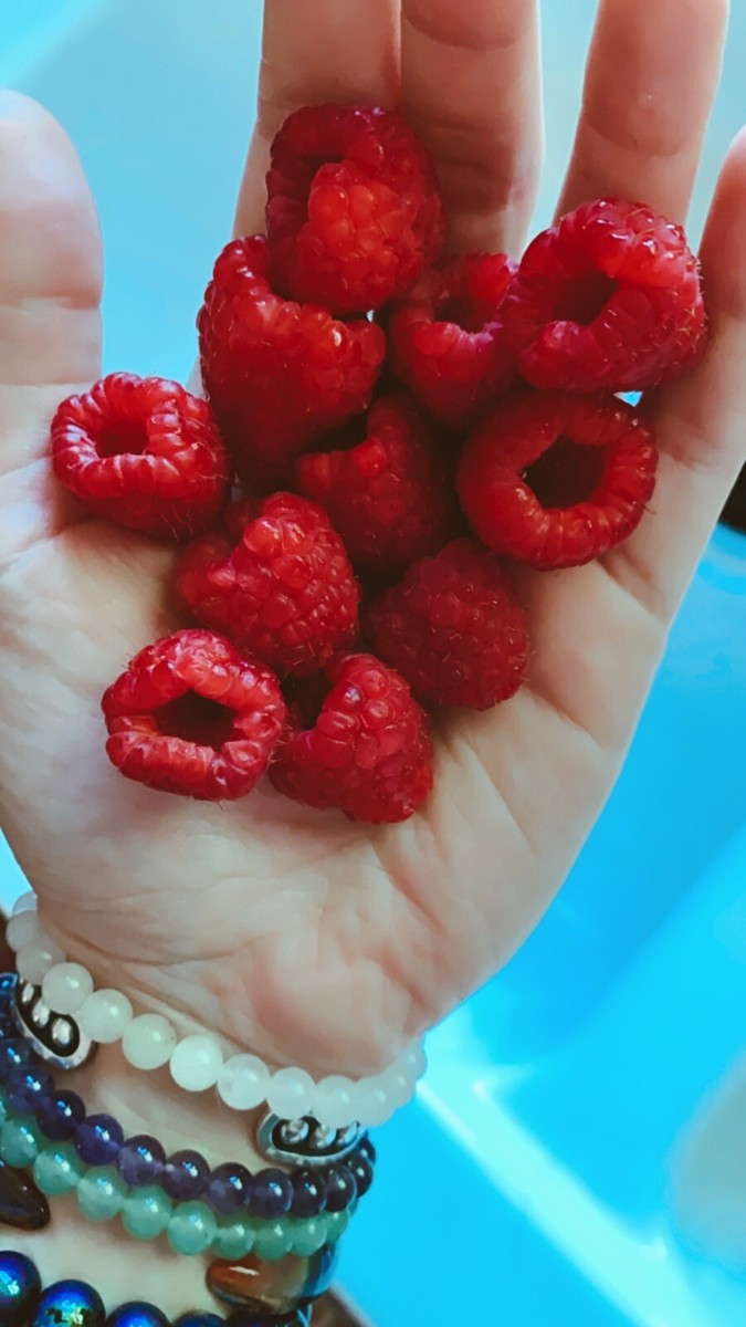 Raspberry Seeds