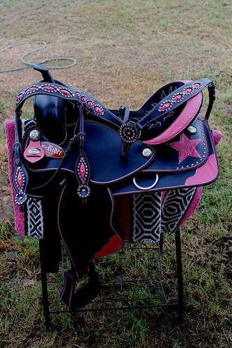 Western Cordura Trail Barrel Pleasure Horse SADDLE Bridle Tack Pink ...