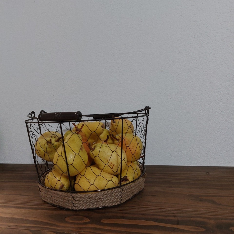 Large Decorative Chicken Wire Storage Basket Egg Collection Basket ...