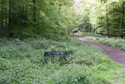 Photo 12x8 Forestry Commission Road Lower Soudley Authorised vehicles ...