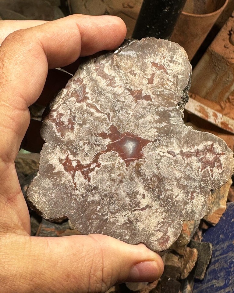 Agatized Utah Barite nodule slab | eBay