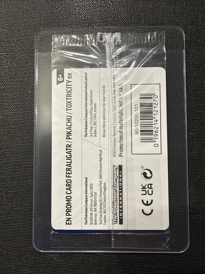 2024 Pokemon Illustration Contest 2025 Pokemon Day Sealed Promo 3 Card ...