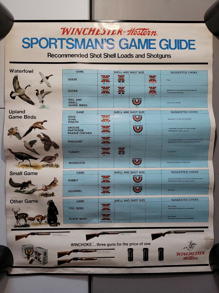 Sportsman S Guide Sports Car Buying Guide 2022 Magneto
