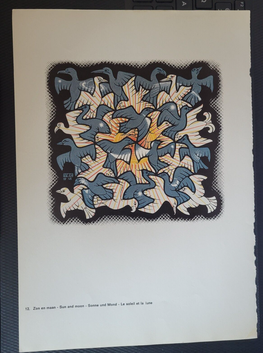 Escher Tessellations Birds