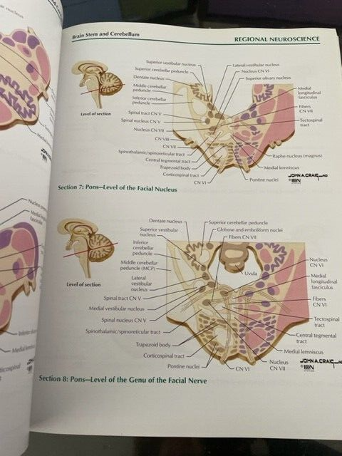 Netter Basic Science: Netter's Atlas of Human Neuroscience by David L ...