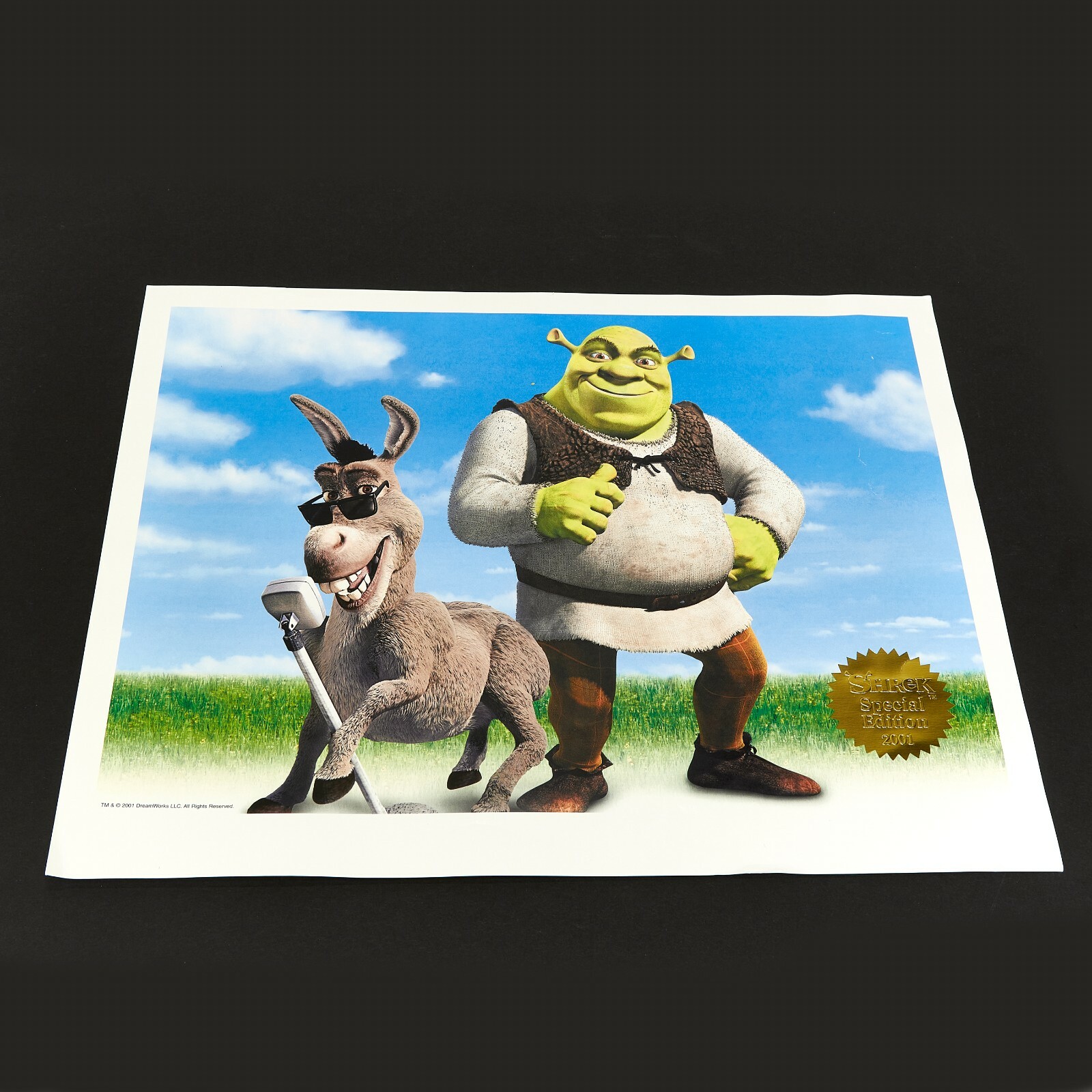 Shrek Dreamworks Animation 2001 Special Edition Lithograph Rare item | eBay