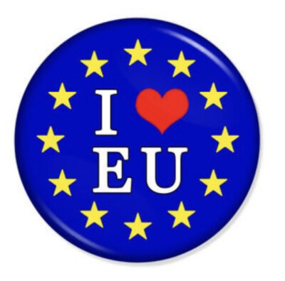 I Love EU Vinyl Sticker laptop window car UK vote European Brexit ...
