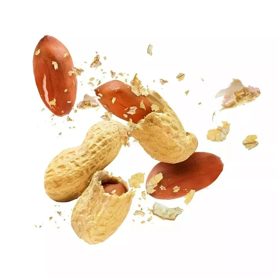 Fruidles Raw Peanuts, Raw Peanuts in Shell, Great for Boiling ...