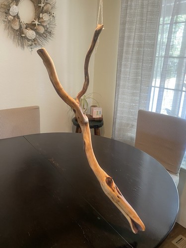 Manzanita Wood, Driftwood, Reptile Tank Decor, Fishtank aquascape Or ...