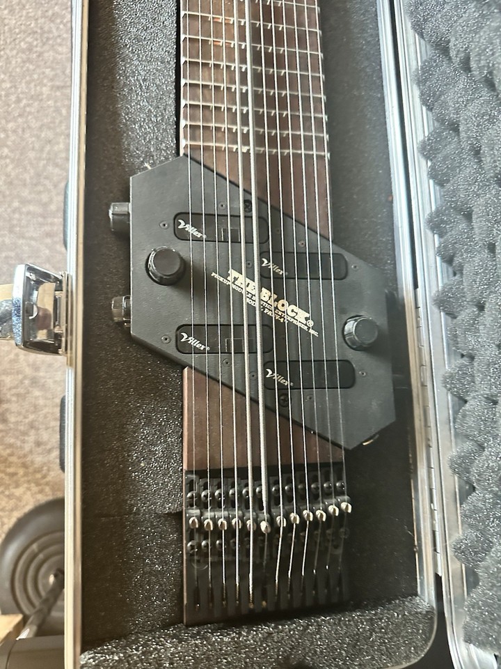 Chapman Grand Stick 12 string | eBay