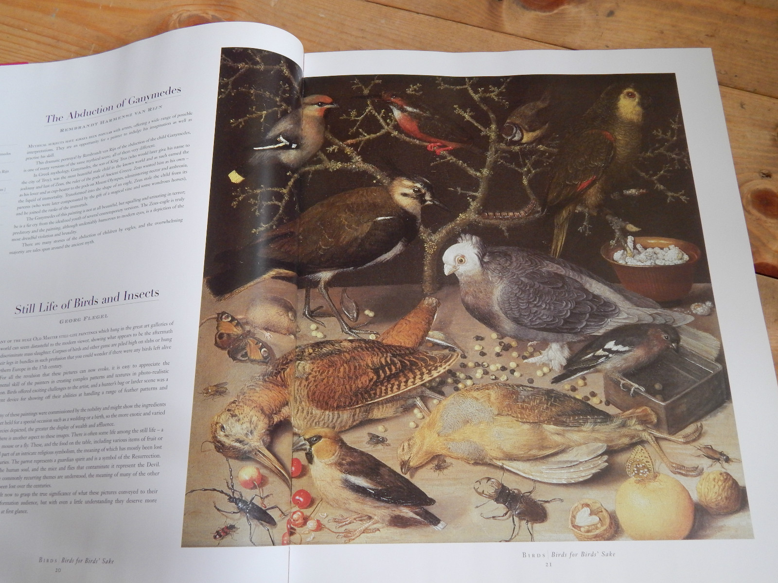 Birds Katrina Cook Large Hardback Paintings Drawings Sketches ...