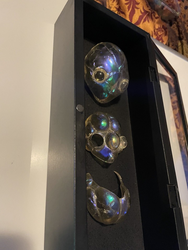 THE ABYSS Movie Props Alien Heads Skulls James Cameron SCREEN USED Sci ...