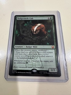 Badgermole Cub M0167 from Avatar: The Last Airbender (MTG, NON-foil) | eBay
