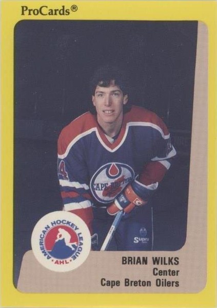 1989-90 Procards AHL - #148 Brian Wilks (RC) for sale online | eBay