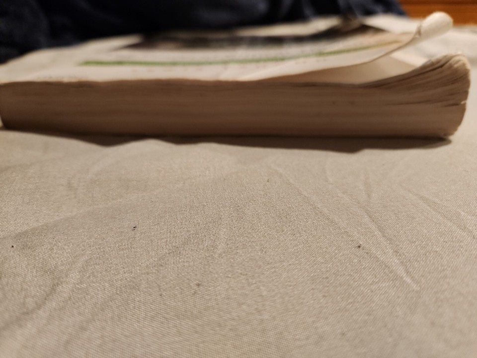 Power of Critical Thinking(Fifth Edition)by Lewis Vaughn.Used ...