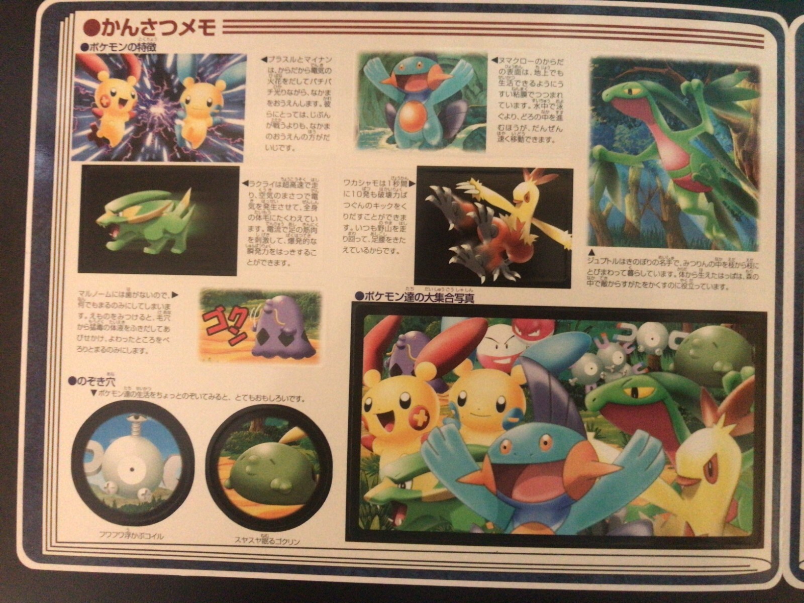 Marshtomp Pokemon Illustrated guide 8in Sticker No.4 MURO TOWN KINSETSU ...