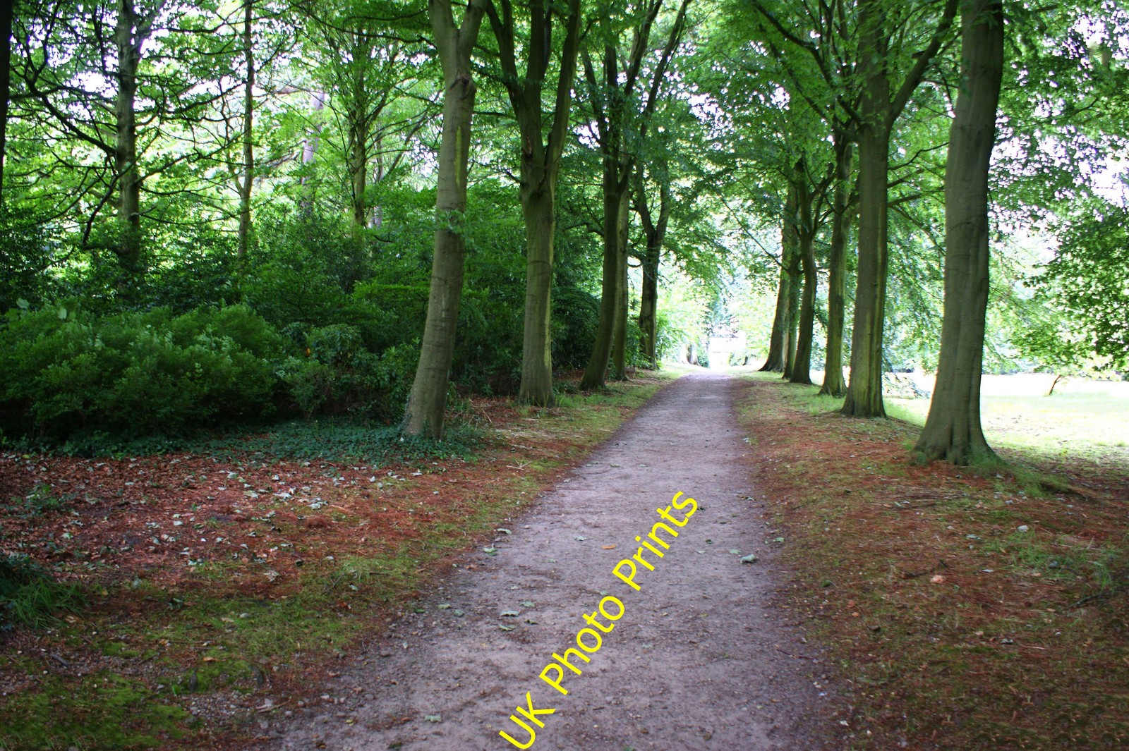 Photo A1 A path through the gardens of Rufford Old Hall c2010 | eBay UK