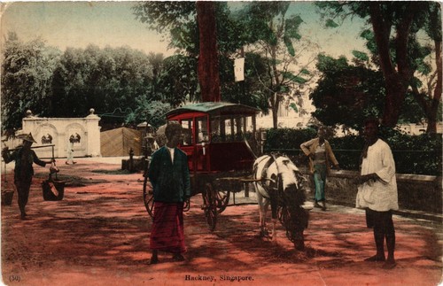 PC CPA SINGAPORE, HACKNEY, VINTAGE POSTCARD (b4310) | eBay