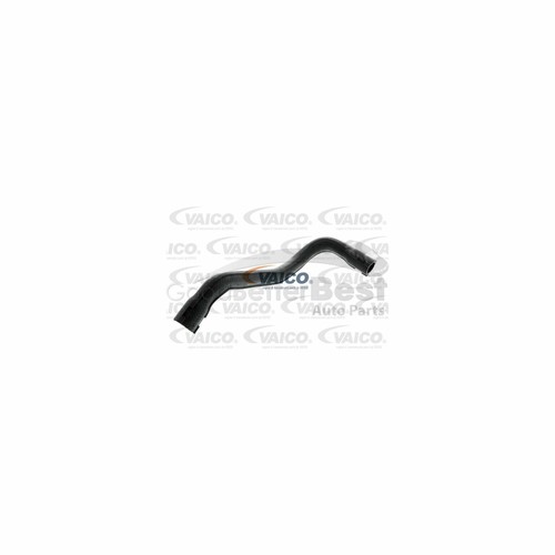 One New VAICO Radiator Coolant Hose Lower - Radiator To Valve V302477 ...