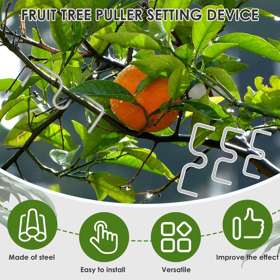 30 Pcs Fruit Tree Branch Puller M Shaped Fruit Tree Branch Trainer for ...