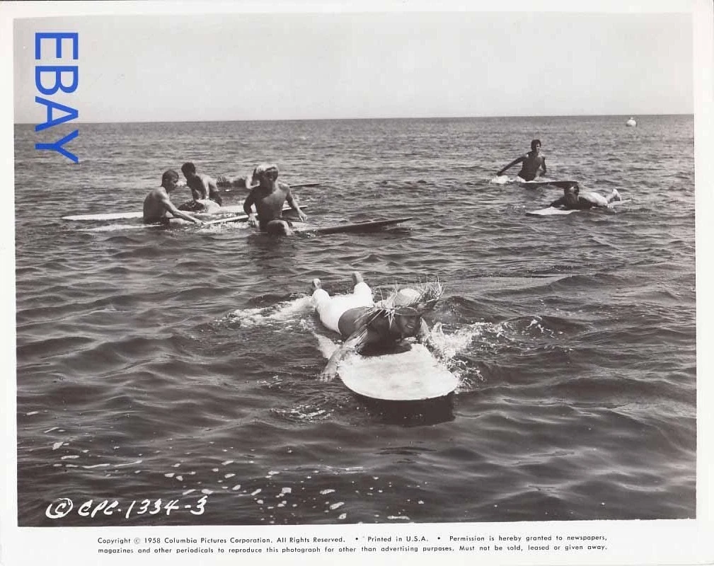 Cliff Robertson Gidget