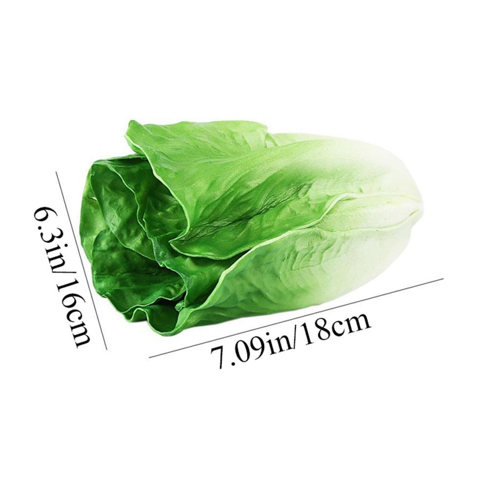 Home Decor Vegetable Model Lettuce Model Table Display Photography Prop ...