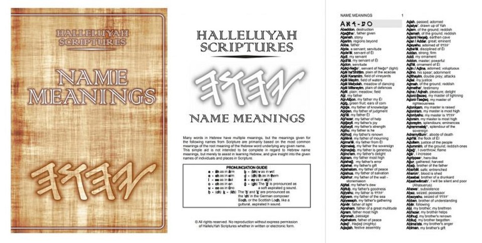 Genuine Leather STANDARD HALLELUYAH SCRIPTURES Bible + Free Books | eBay