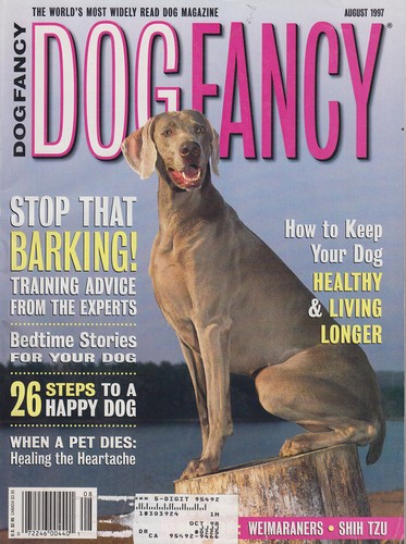 Vintage Dog Fancy Magazine May 1997 144 pp. Weimaraners, Shih Tzus | eBay