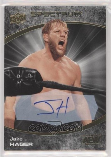 2021 AEW/WWE UPPER DECK "JAKE HAGER" GOLD INSERT WRESTLING AUTO CARD ...