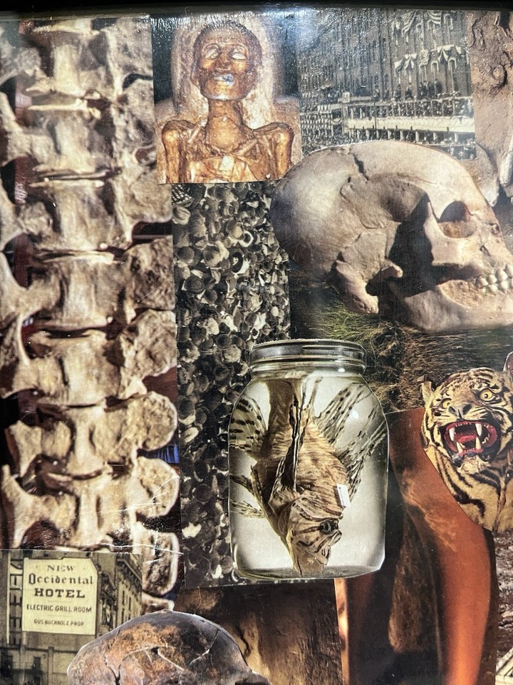 Original Gothic Oddity & Curiosity Art, Mixed Media Collage, Wall Decor ...