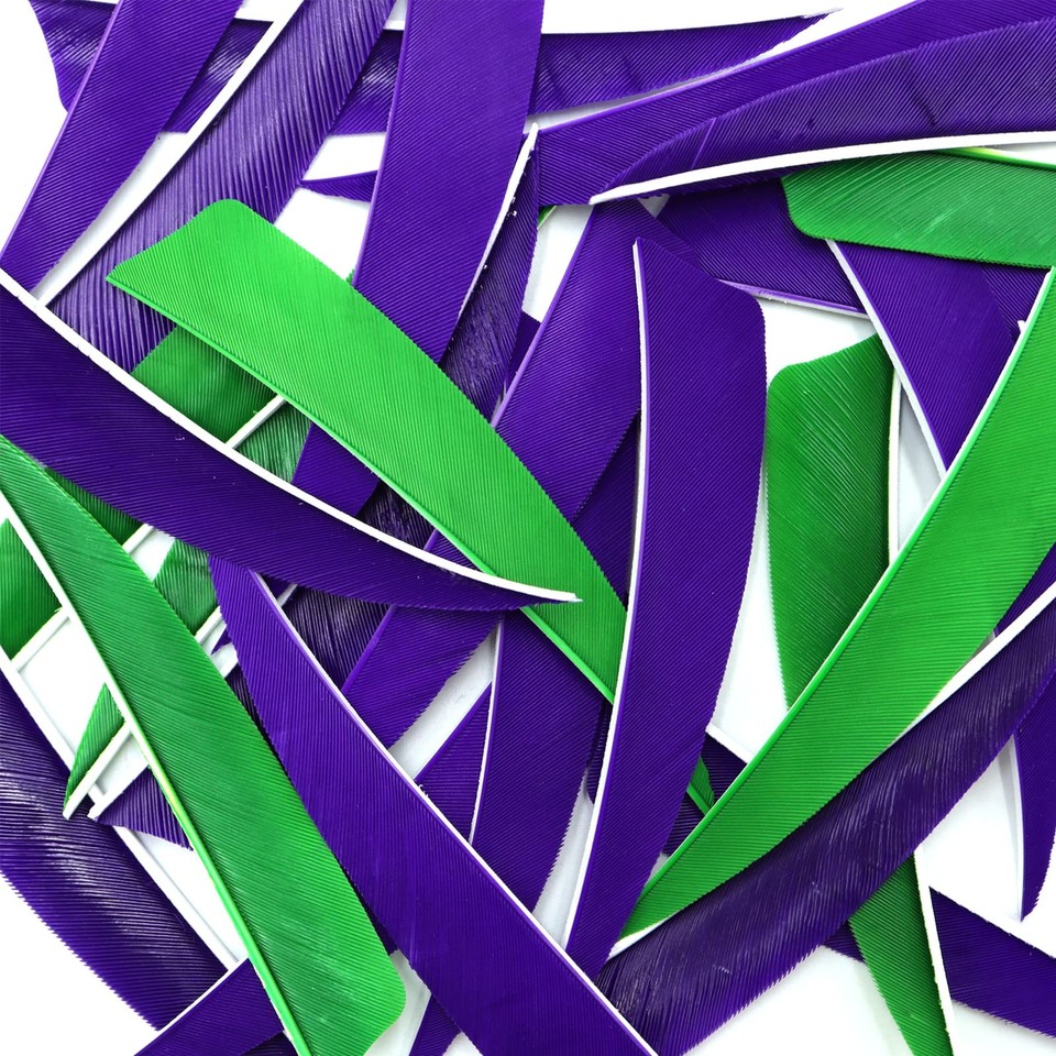 Archery 60pcs Arrow Feathers 4 inch Hunting Arrows Fletching Right Wing ...